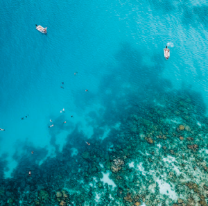 Great Barrier Reef Cruises from Cairns 2024 & 2025 - True North